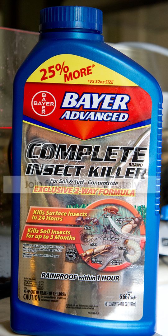 Bayer insecticide as a coral dip | Page 7 | Reef2Reef