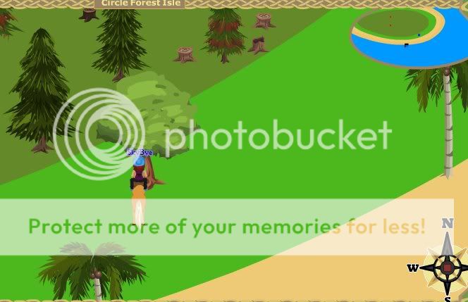 Plains Island - Horse Isle 2 Help