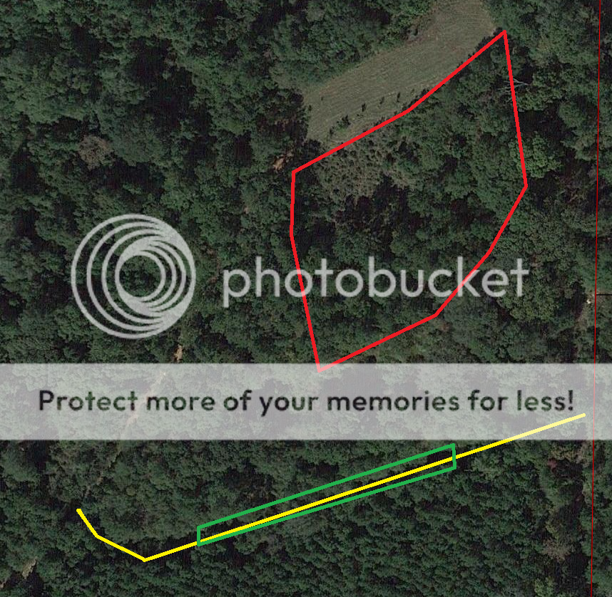 Sneaky Bastages | Wildlife Habitat - Lets talk.....